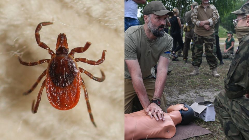 Poland’s Ministry of Defense declares war on ticks