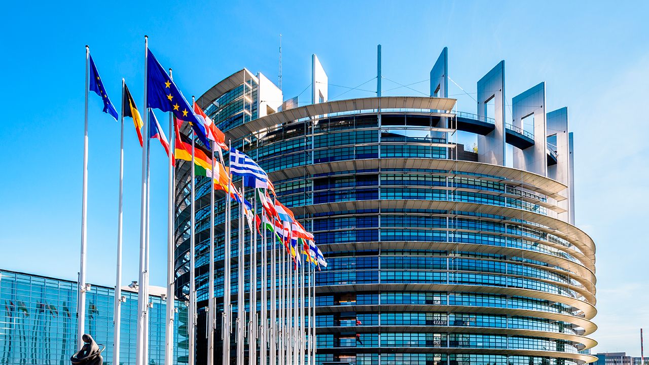 Wybory do Parlamentu Europejskiego. Co jest ważne dla Polaków? Jaka powinna być UE? | TVP INFO